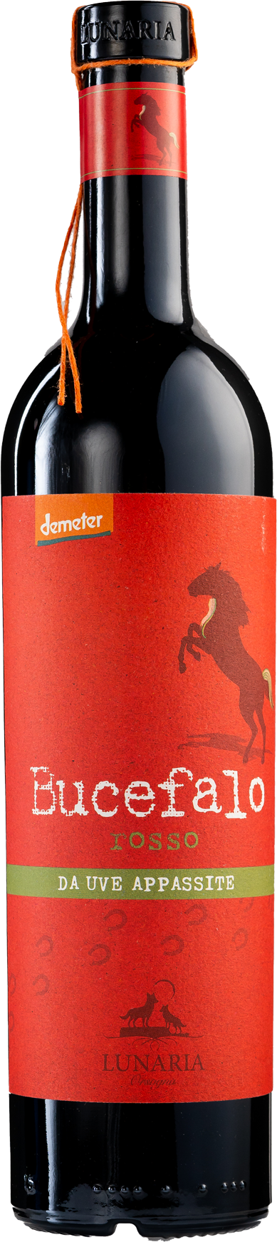 Bucefalo Montepulciano d'Abruzzo DOC da Uve Appassite Orsogna ...